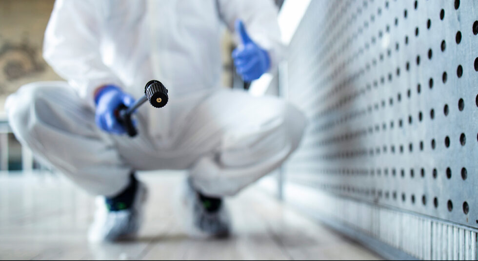 ᐈ Fumigaciones el Triunfo Control de Roedores Bogotá